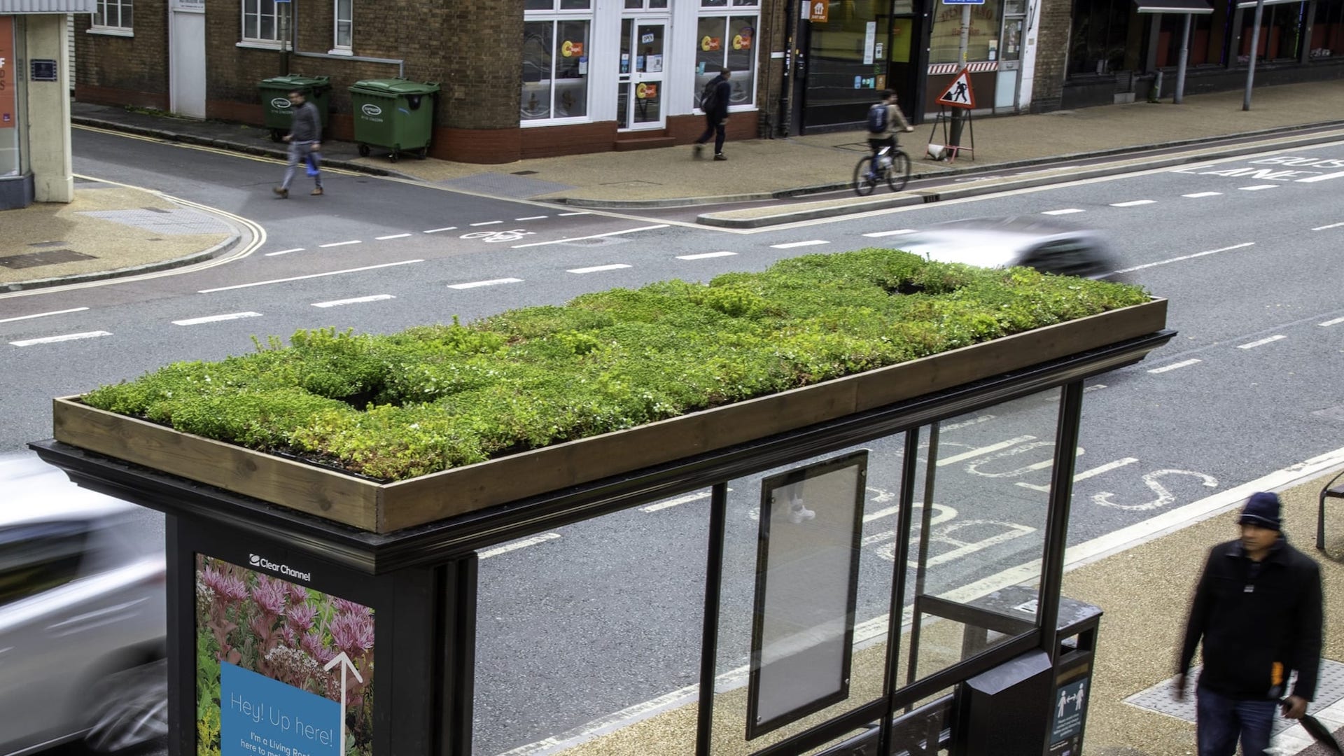 Rooftop gardens on Leicester bus shelters help bees pollinate - Viable ...