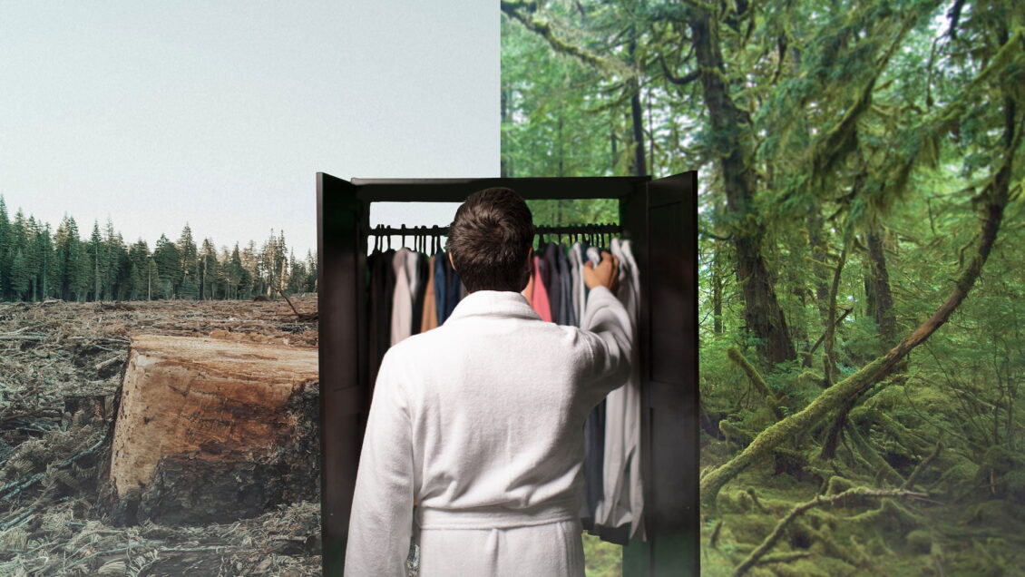400 fashion retailers commit to protect ancient and endangered forests ...
