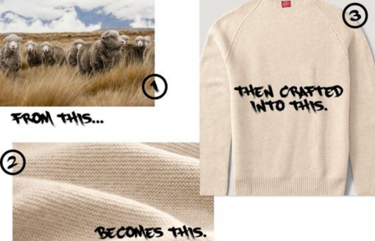 The future of fashion?: Carbon-negative clothing - Viable Earth