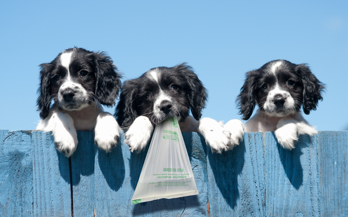 Cool eco-friendly pet brands in the US - Viable Earth