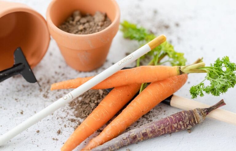 Gin label Bombay Sapphire works with artist to unveil limited-edition ...