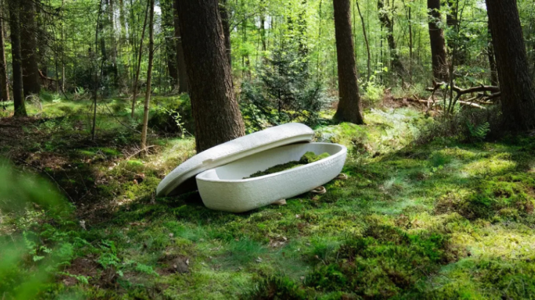 Loop Biotech’s mushroom coffin gives life after death - Viable Earth